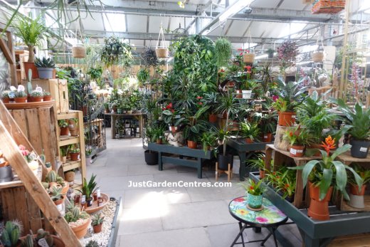 LAYLOCKS GARDEN CENTRE INDEPENDENT REVIEW