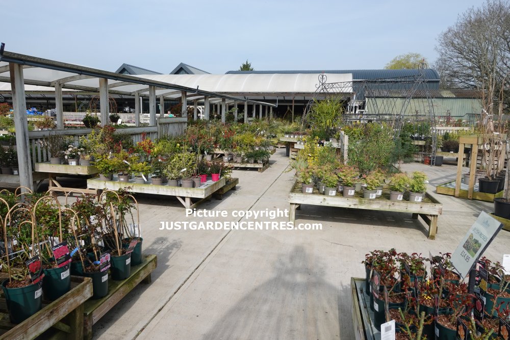 LAYLOCKS GARDEN CENTRE INDEPENDENT REVIEW